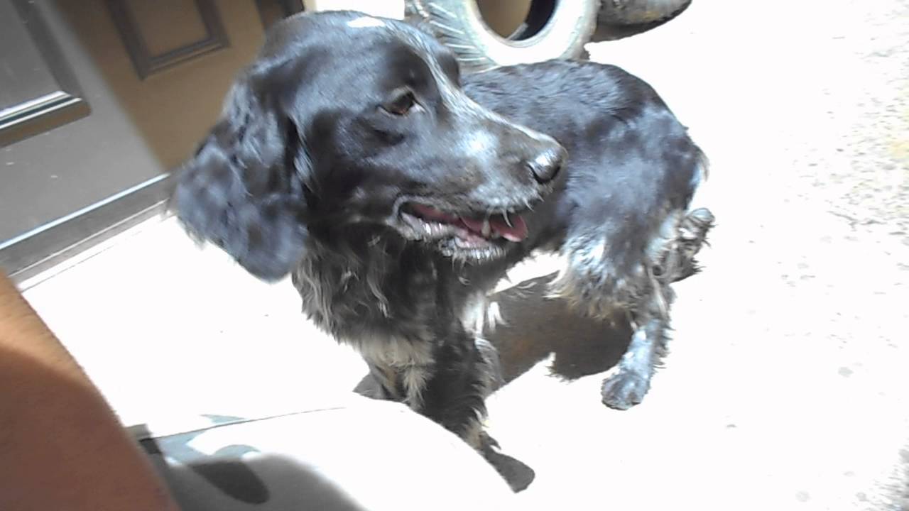 Axel and the cat 4 - YouTube