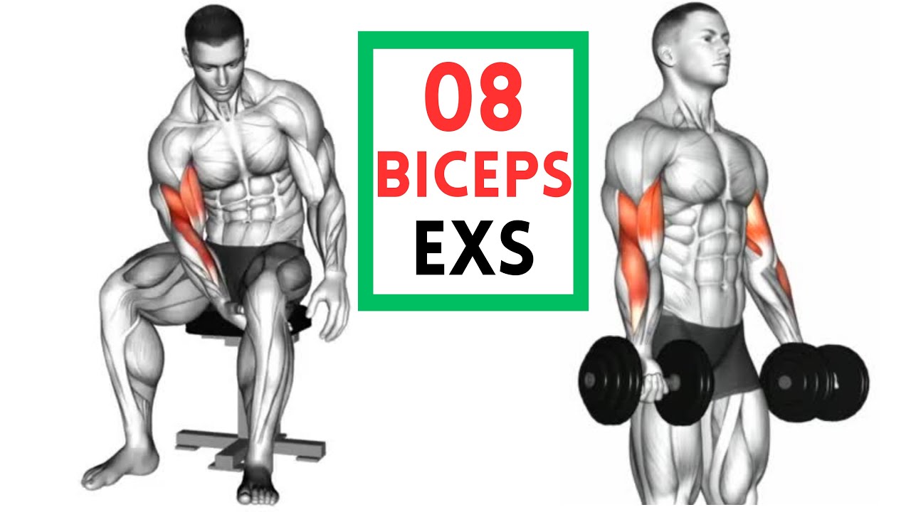 Are you struggling with weak biceps muscles? Build them up with just 8 ...