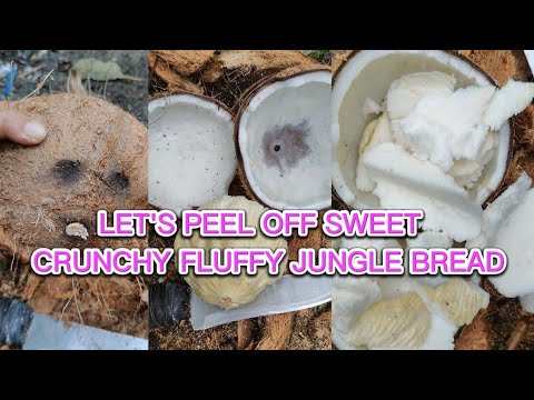 Vida mix vlog is live! LET'S PEEL OFF SWEET CRUNCHY FLUFFY JUNGLE BREAD ...