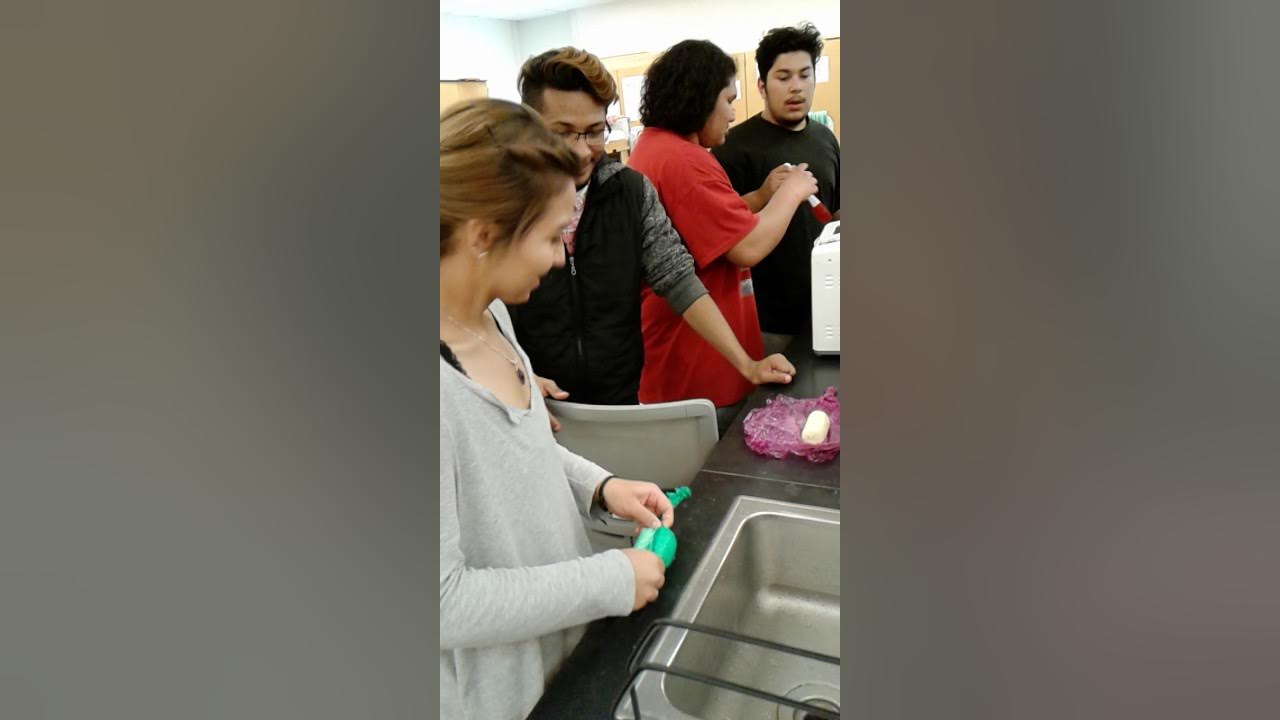 Bread & Butter Lab-PM - YouTube