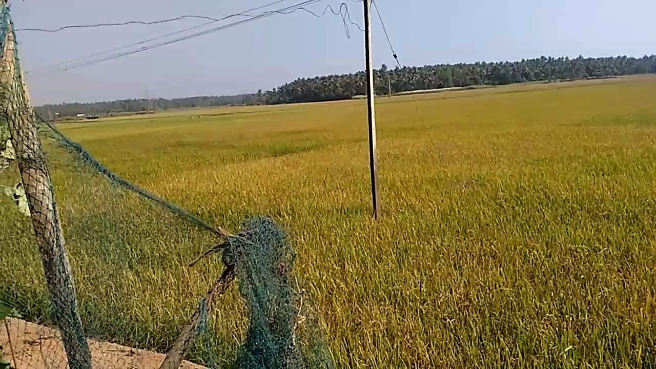 The beauty of chenam village - YouTube