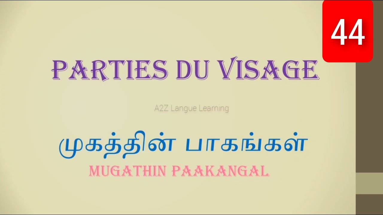 Parties du Visage | Vacabulary | Learn Parts of the face in French ...
