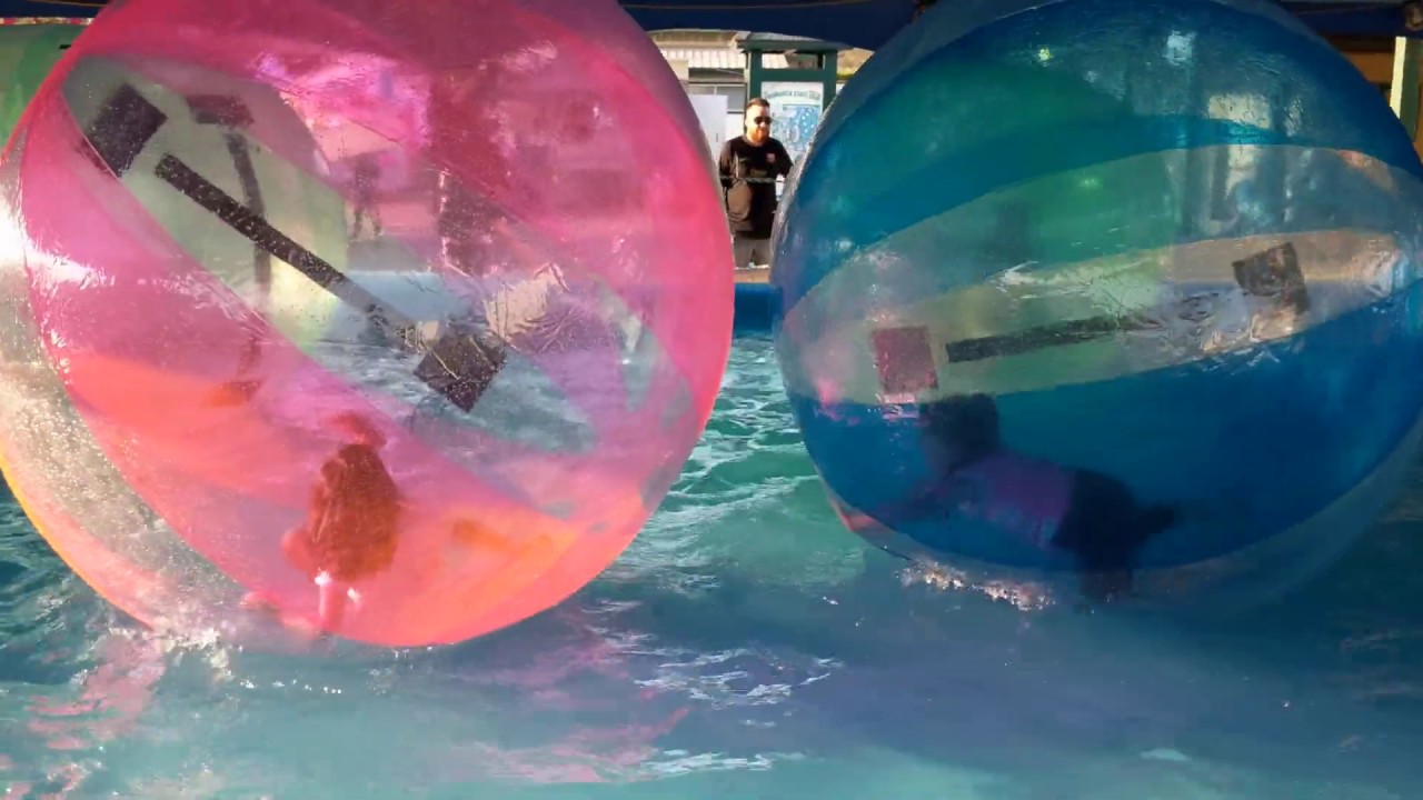 Crazy water walking roll ball fun at the fair 🐹 ball - YouTube