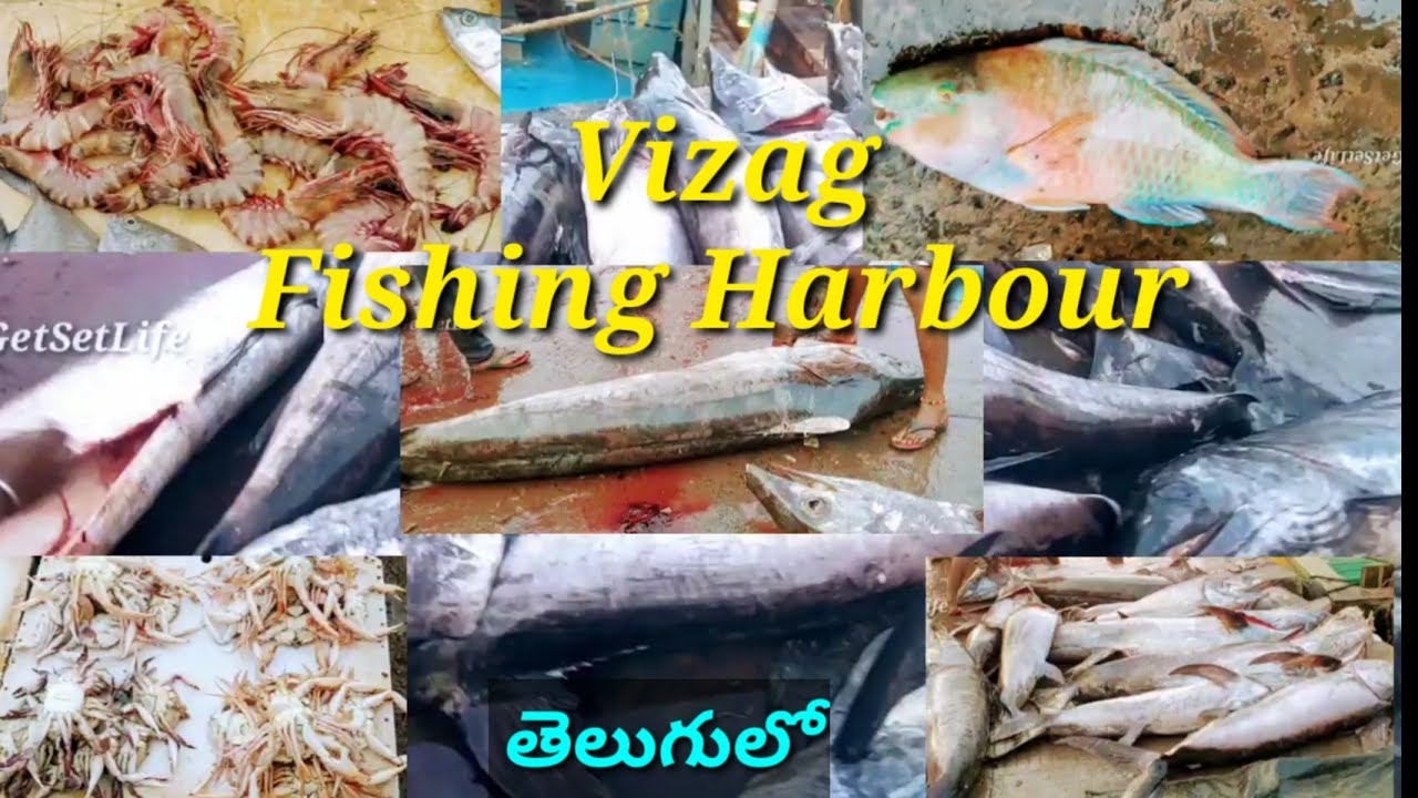 Vizag Fishing Harbour || Telugu Vizag Fish Market || Fishing Boats in ...