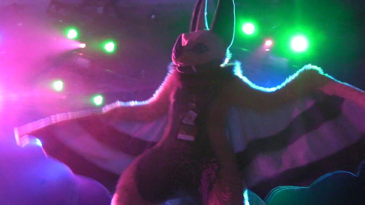 RAINFURREST 2015 RAVE - YouTube