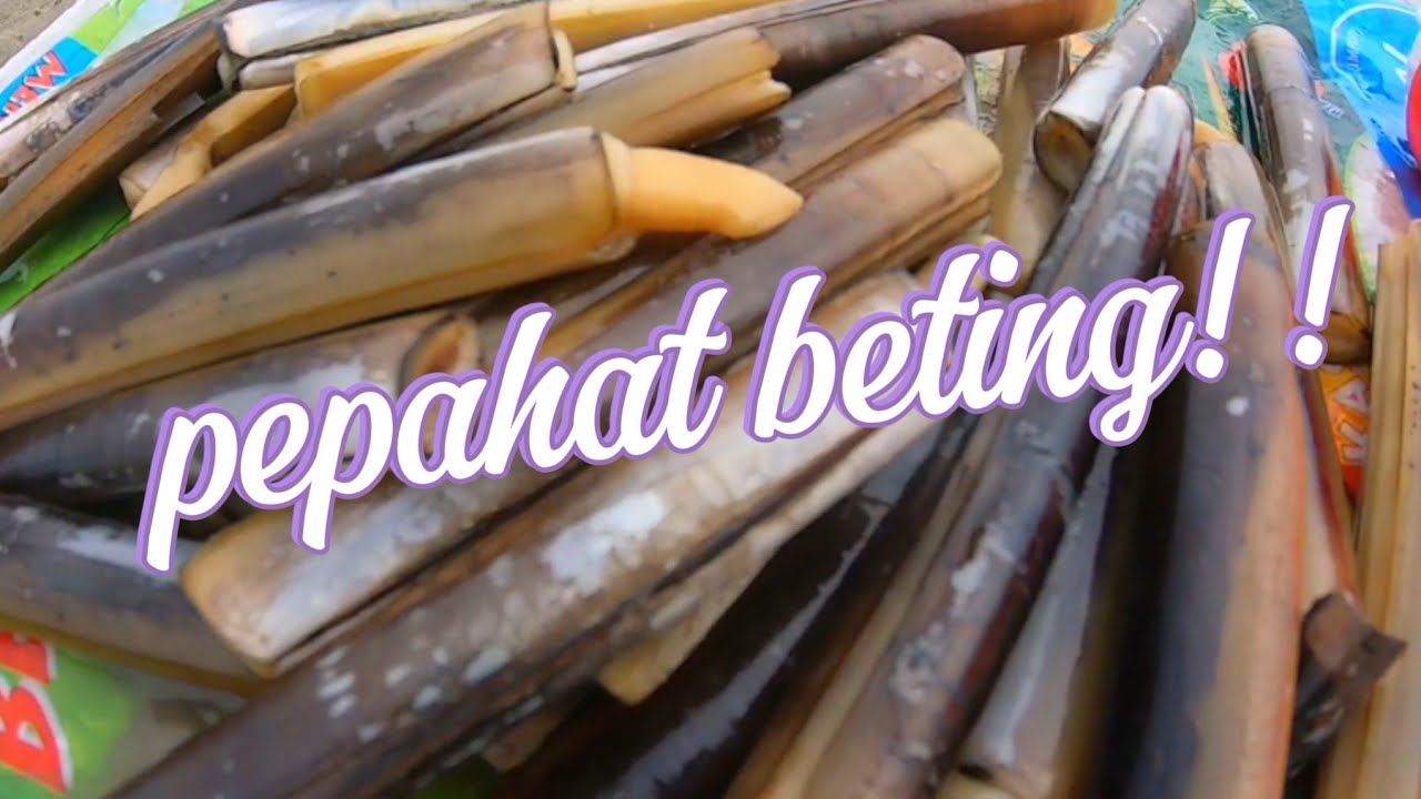 MENCARI PEPAHAT KETIKA AIR LAUT PASANG BESAR!!??#pepahat#baganlalang ...