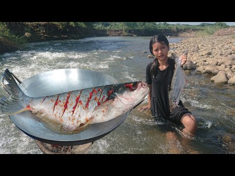 MY Life In Jungle-Girl catch fish in the river-Cooking fish eat with chicken
