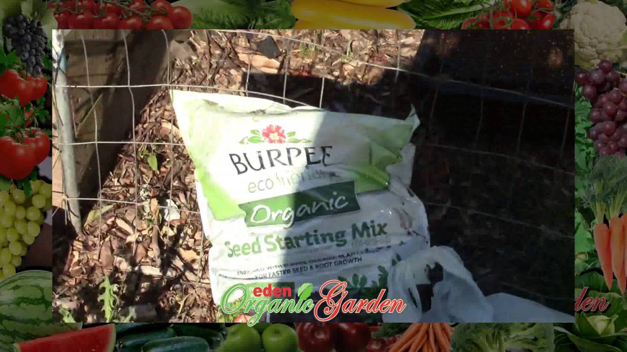 June 2016 Garden Update Organic seed starting grow mix working wonders ...