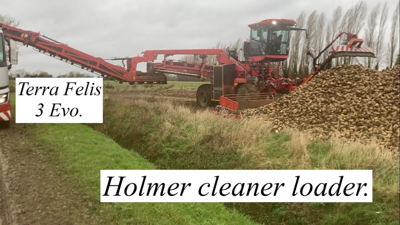 Holmer cleaner loader Terra Felis Evo 3 loads my beet. - YouTube