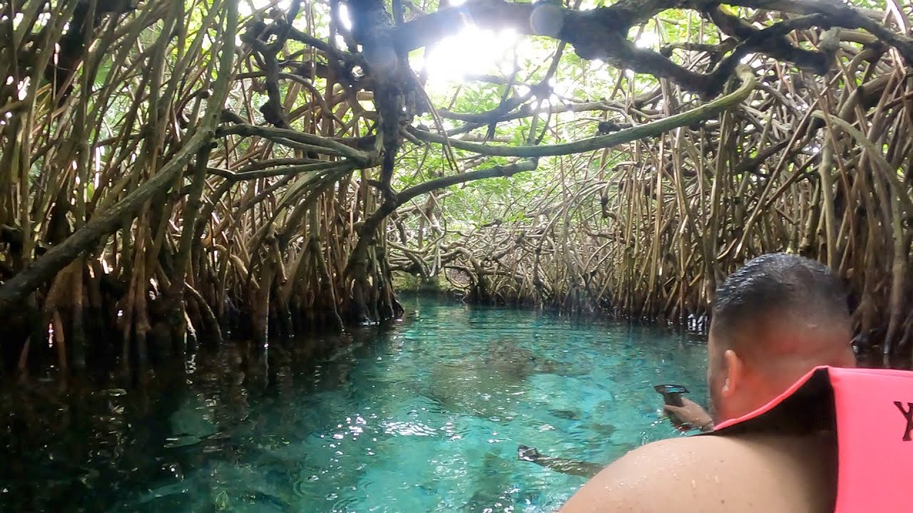 Mayan River in Xcaret - YouTube