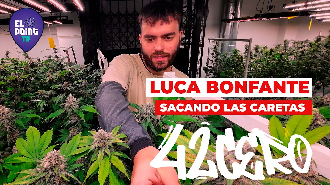 1x03 - 42CERO: Luca Bonfante - YouTube
