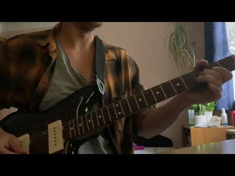 The Growlers - Woosh! You're a dolphin (live version) cover