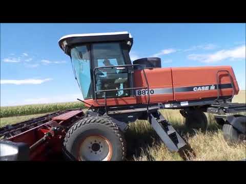 1998 Case IH 8870 self-propelled windrower for sale | no-reserve ...