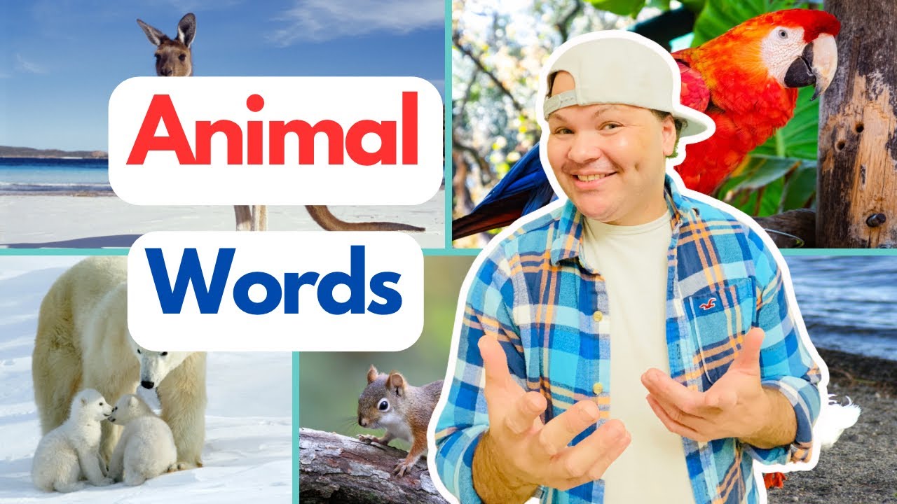Animal Words | Learning English | ShanesMTH - YouTube