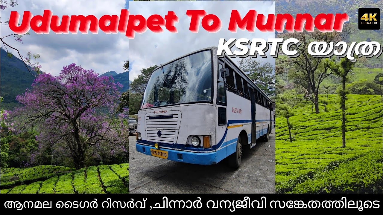 udumalpet നിന്നും മറയൂർ വഴി മൂന്നാറിലേക്ക് ഒരു KSRTC യാത്ര 🔥 Anamalai ...