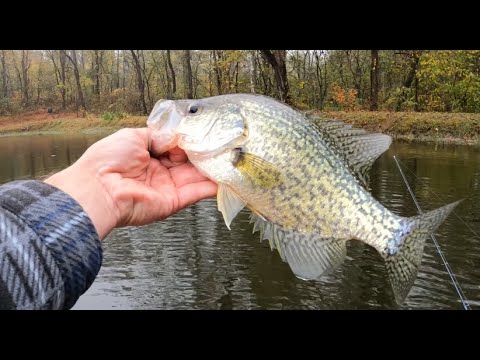 October Pond Fishing SLABS - YouTube