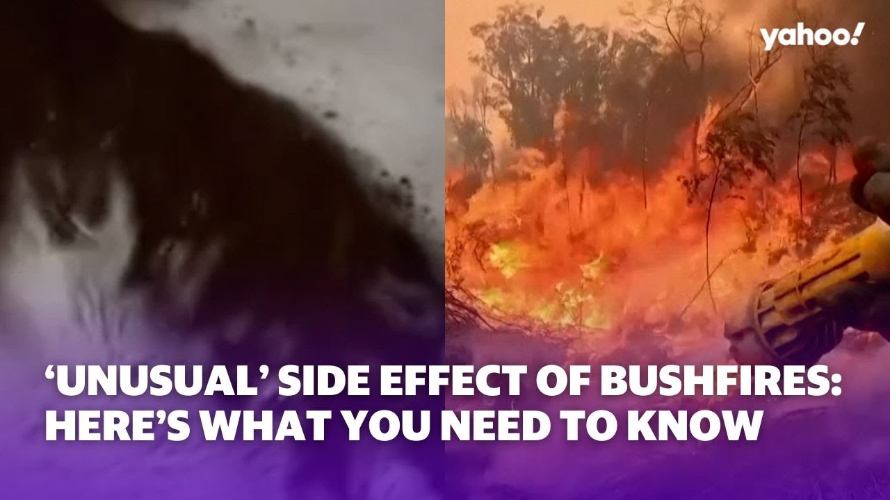 ‘Unusual’ bushfire side effect hitting Aussie homes: Here’s what you ...
