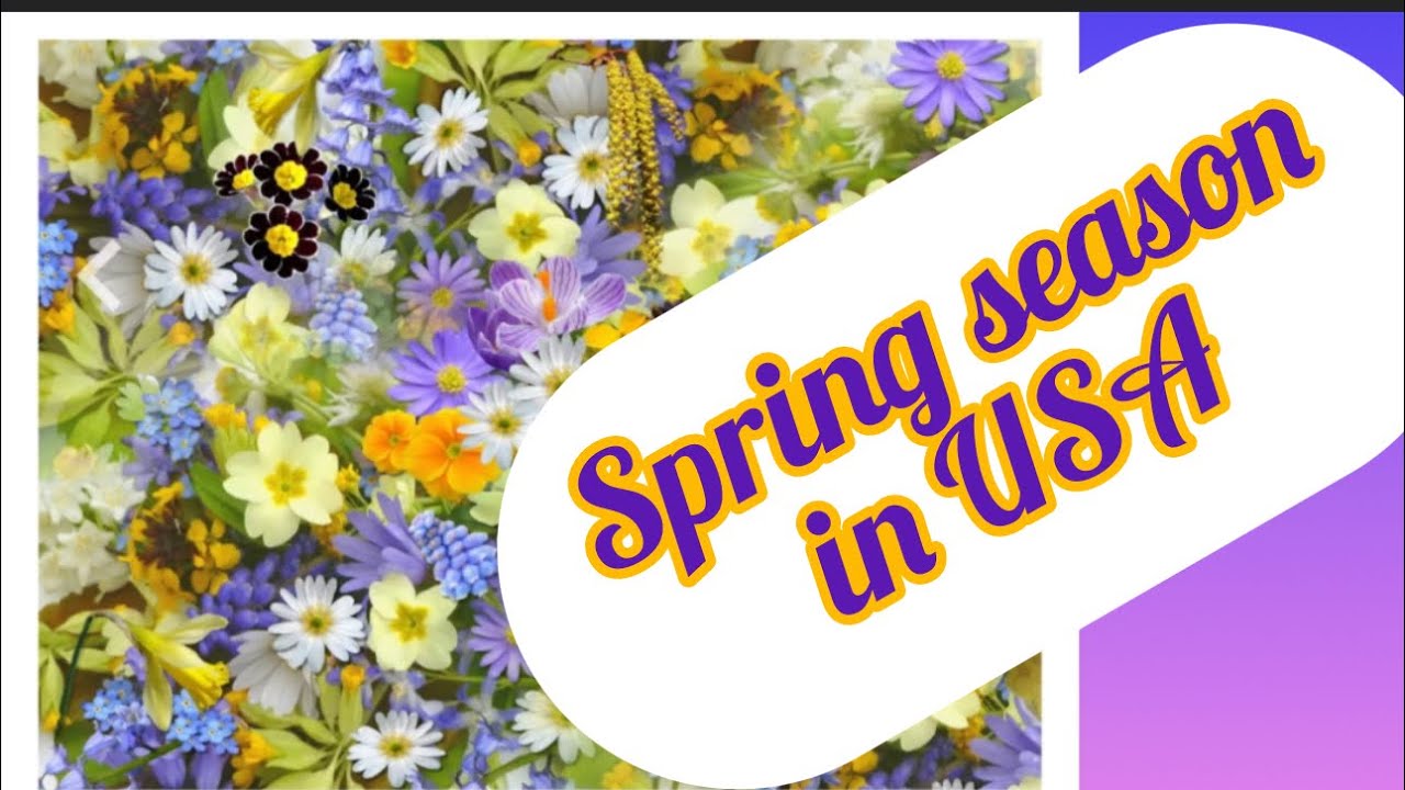 Spring season in USA/#beautiful flowers in US - YouTube