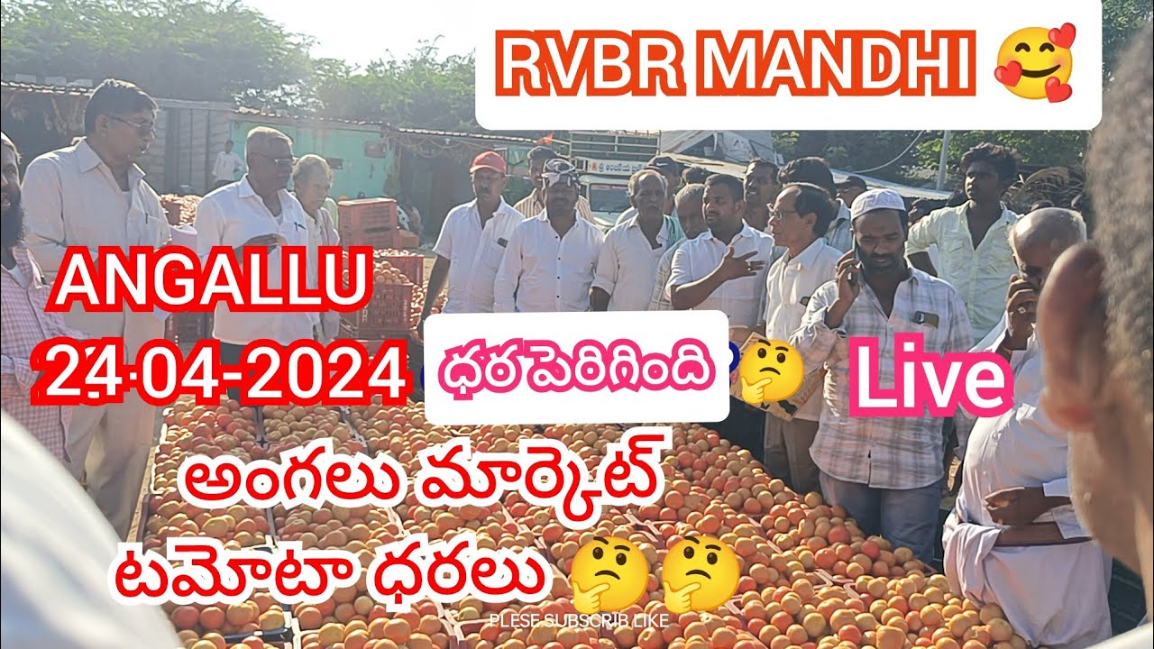 24-04-2024 #ANGALLU TAMOTA PRICES #tamotoprice #todaymareket #today # ...