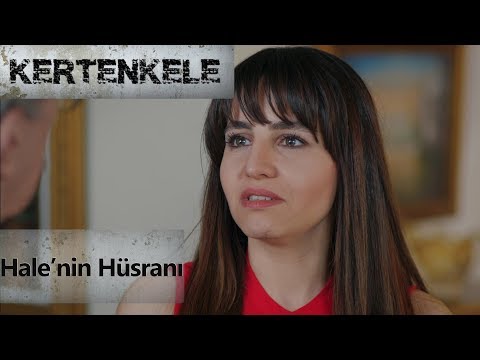 Hale'nin hüsranı - Kertenkele