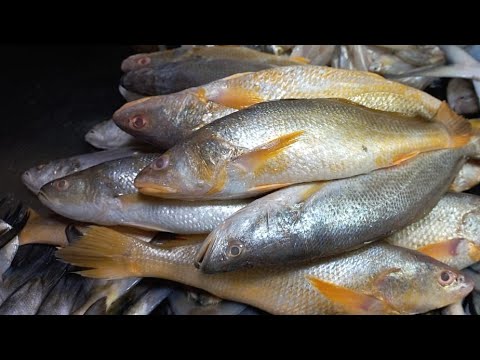 Doma /Croaker fish curry karwar style. - YouTube