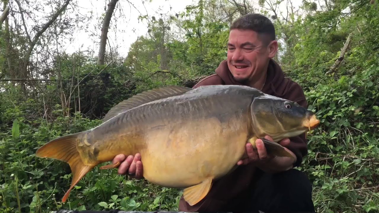 Semaine pêche carpanium et carpox’r - YouTube