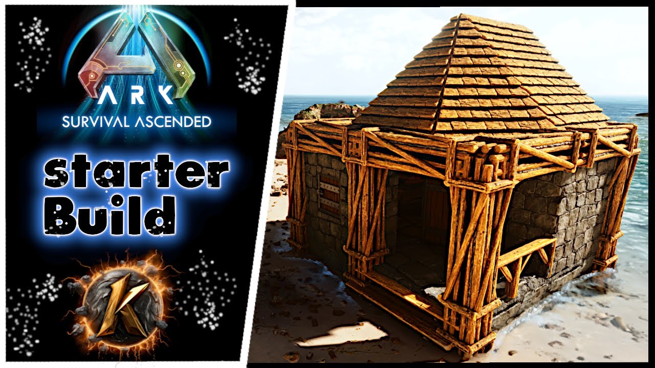 Starter plage pour bien débuter une aventure sur Ark Ascended! Petit ...
