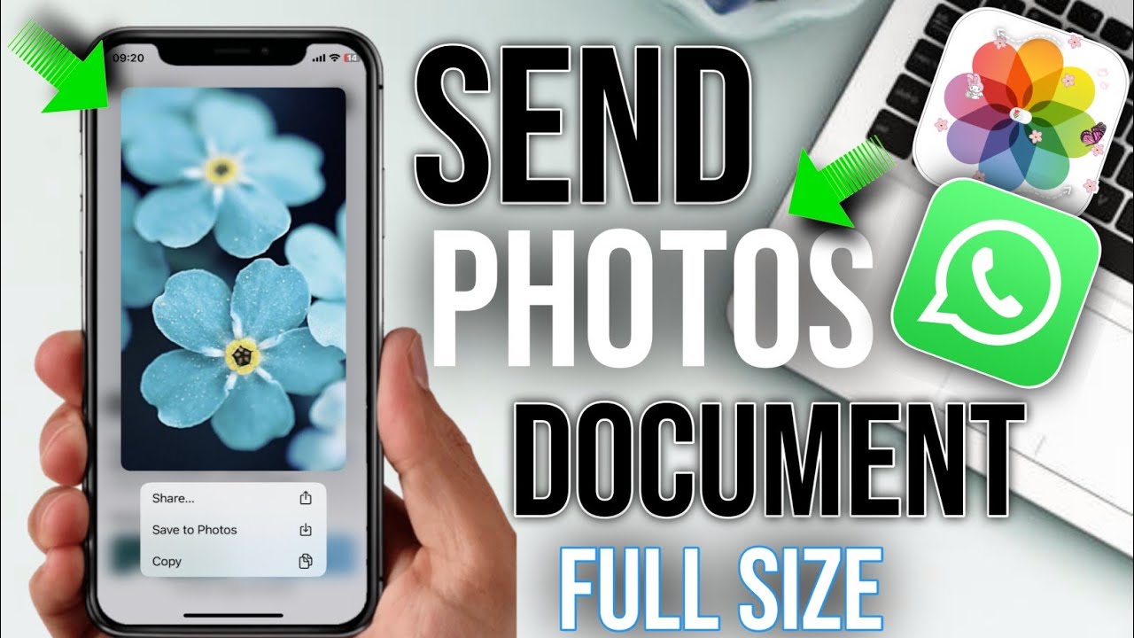 How To Send Photos As Document In WhatsApp In IPhone Send Photos As Documents In WhatsApp how-to-send-photos-as-document-in-whatsapp-in-iphone-send-photos-as-documents-in-whatsapp