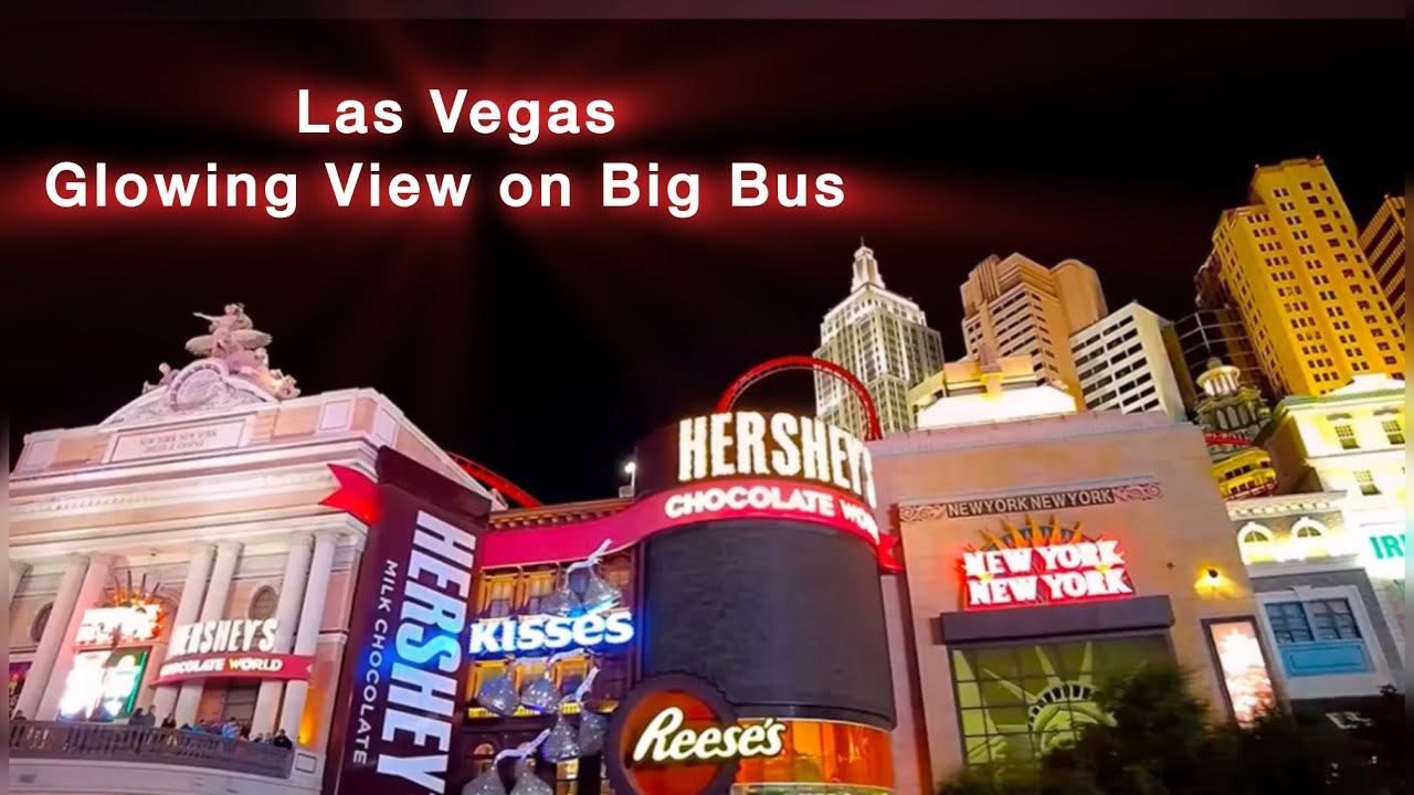 Las Vegas | Part 1 | Night Life & City View | Big Bus Ride | USA | 5💥 ️ ...