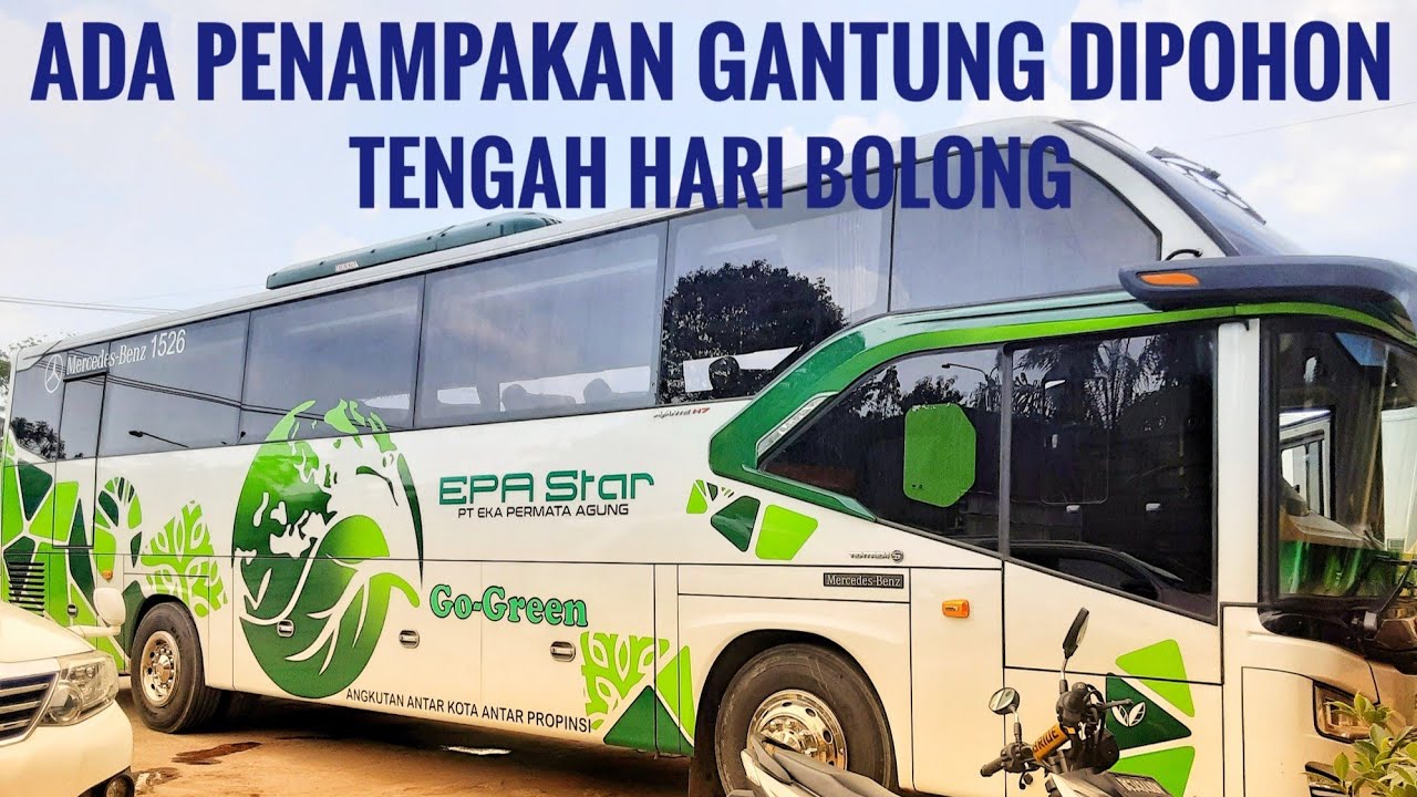 TRIP PO. EPA STAR PALEMBANG-BEKASI | de'soeltan | ADA PENAMPAKAN ...