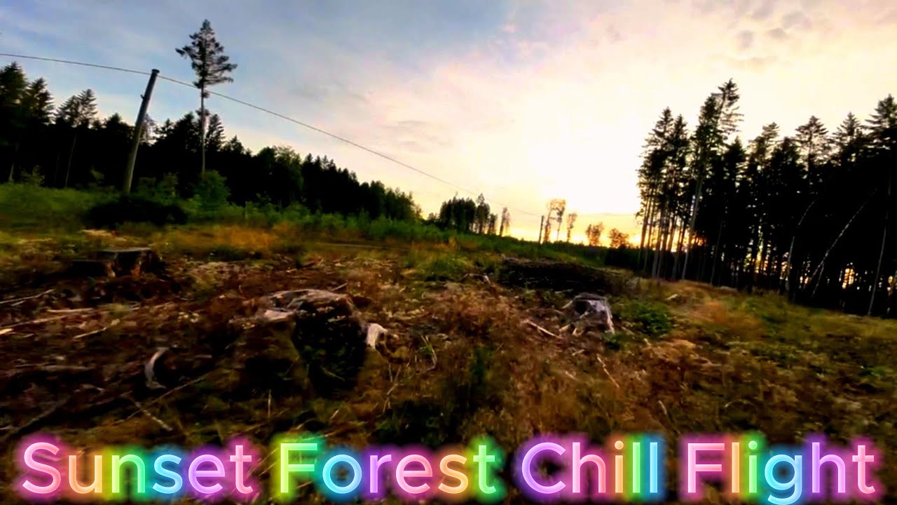 Sunset+-Forest=Chillout #tmotor #bonkapower #TeamManiacs.com #HGLRC # ...