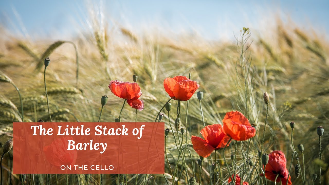 The Little Stack of Barley hornpipe on the cello - YouTube