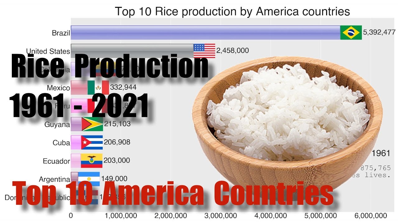 Top 10 Rice production of America countries 1961-2021. #barchartrace ...