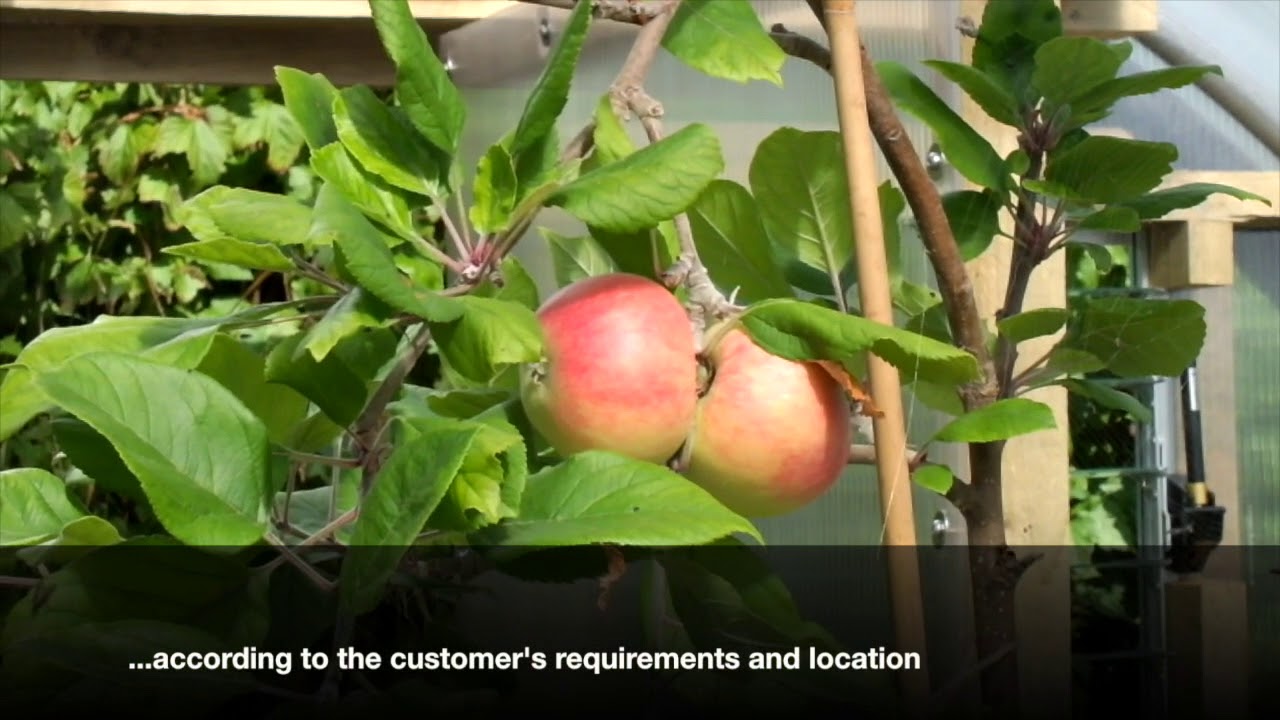 Polycrub: The hurricane proof polytunnel! - YouTube