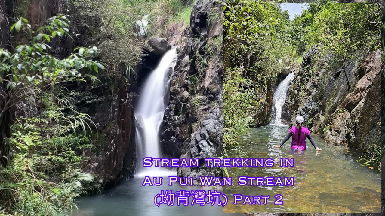 Stream trekking in Au Pui Wan Stream (坳背灣坑) Part 2 - YouTube