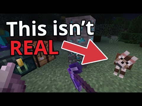 Can YOU Spot what's wrong with these Minecraft Images? - YouTube