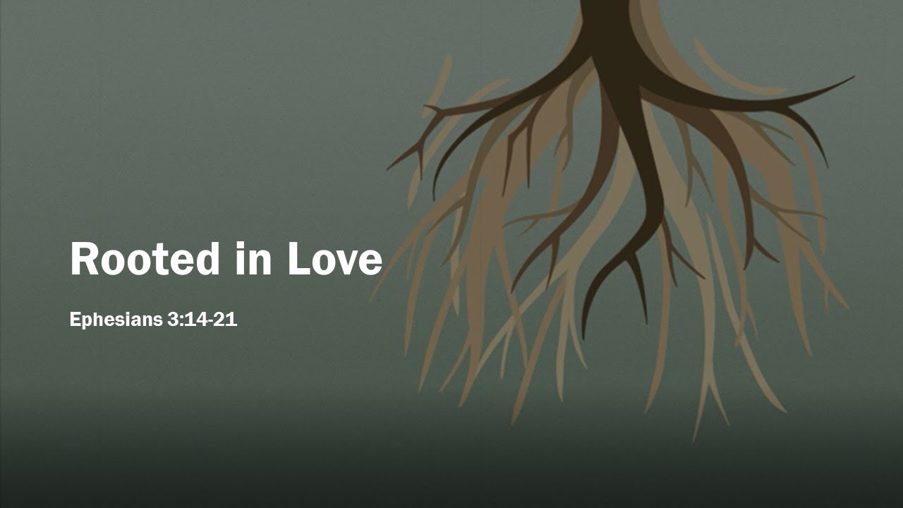 Rooted in Love - YouTube