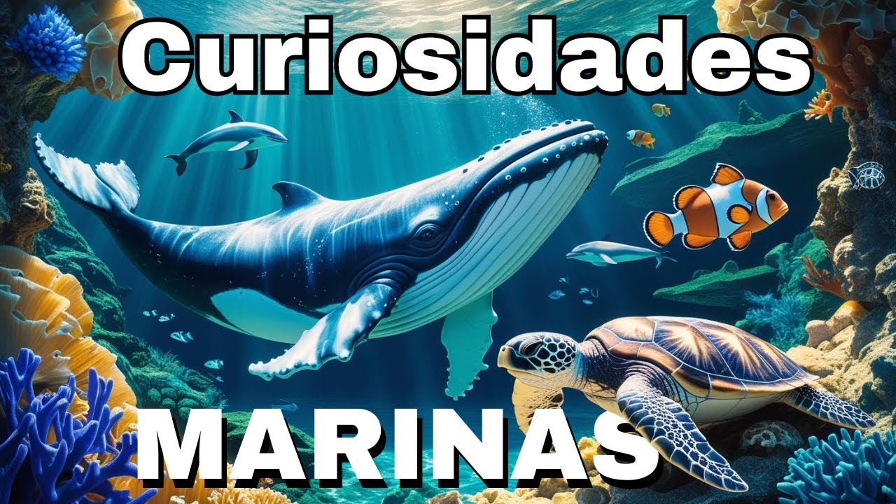 Los Datos Curiosos de los Animales Marinos - YouTube