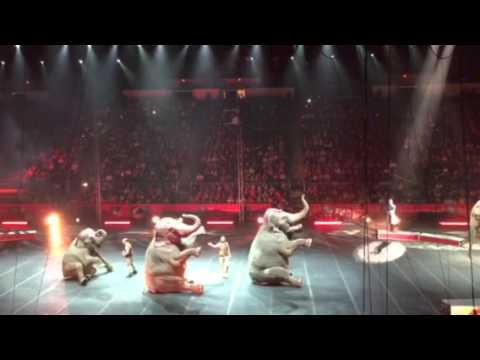 Circus number three - YouTube