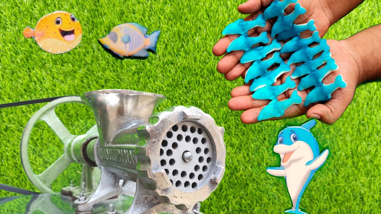 EXPERIMENT Fish Jelly Vs Meat Grinder || Dolphin Fish Jelly || Jelly ...