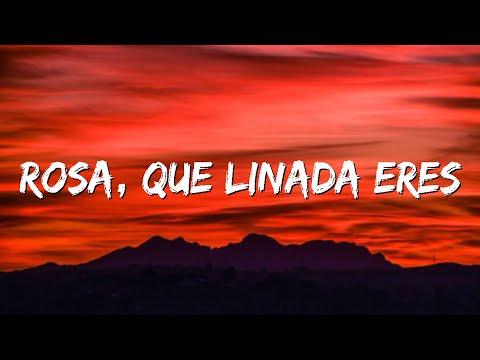 Rosa que linda eres - La canción viral de tik tok