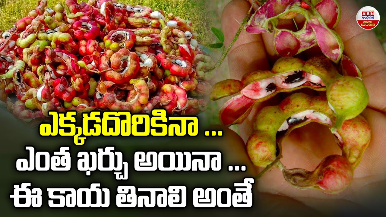 ఎంత ఖర్చు అయినా ఈ కాయ తినాలి అంతే..| Health benefits of Seema ...