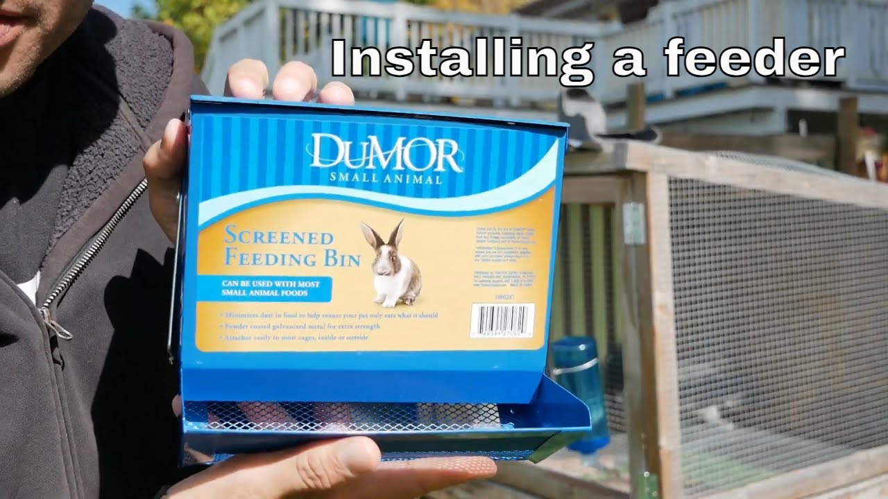 How To Install A Rabbit Feeder - Fast And Easy - YouTube