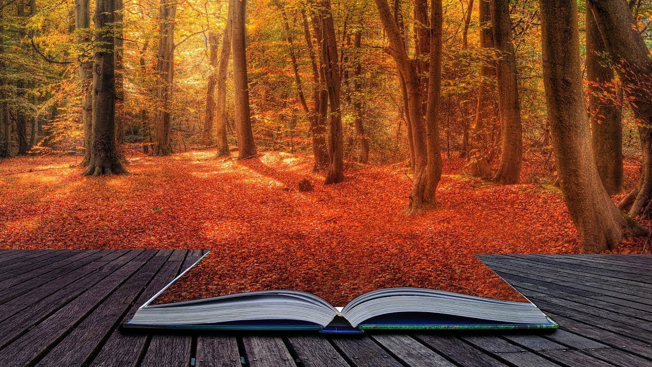 Study Music | Relaxing Music for Studying | Concentration Music ...