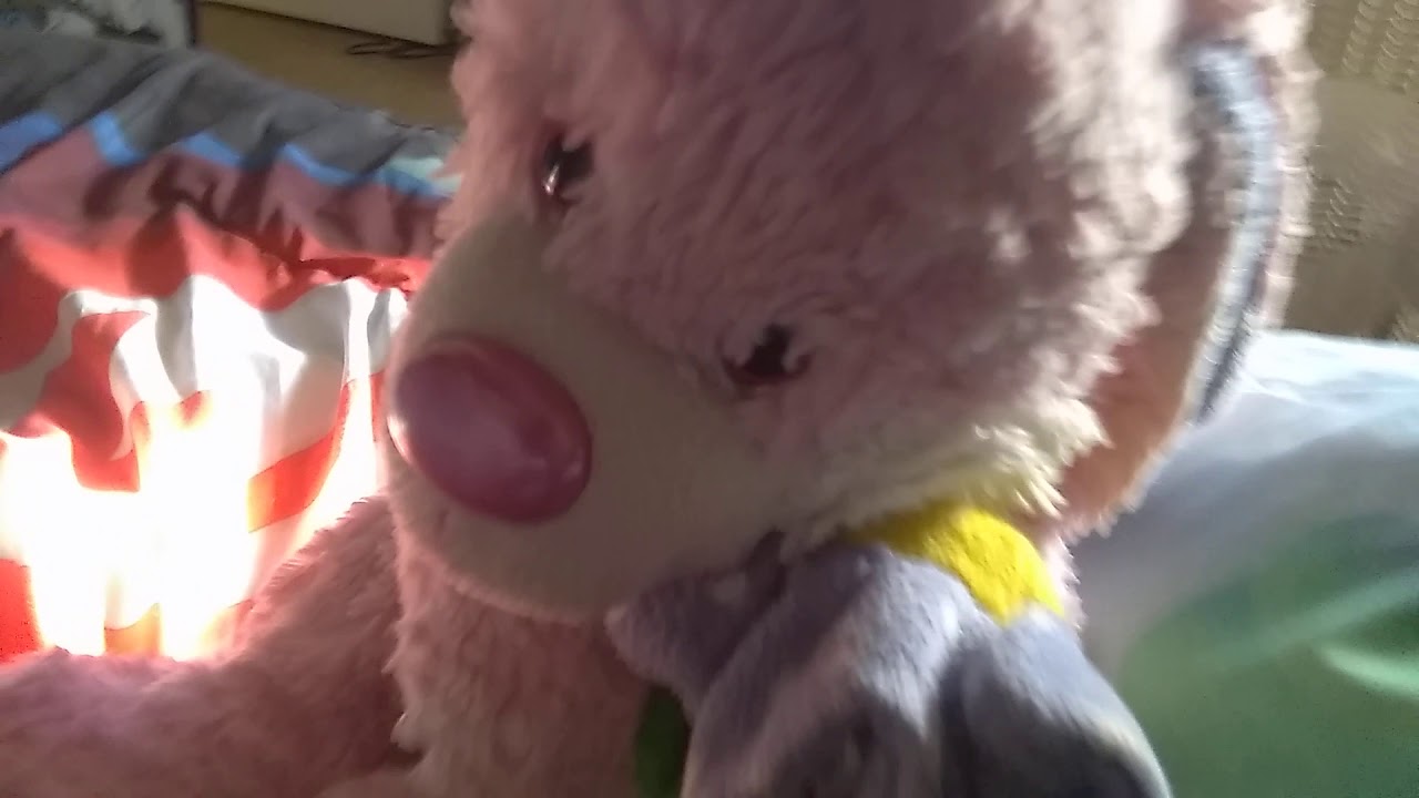 A Bunny Ate A Monkey's Tootsie Pop - YouTube