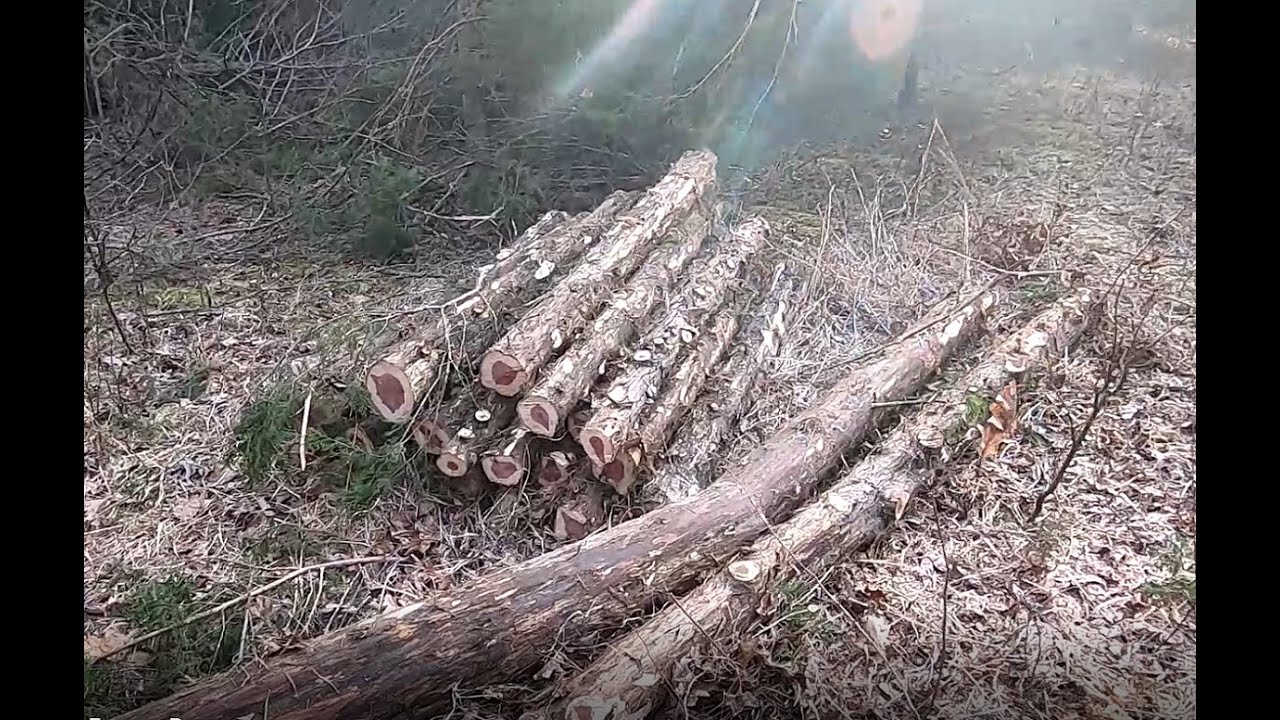 Turning Cedar Trees Into Fence Post - YouTube