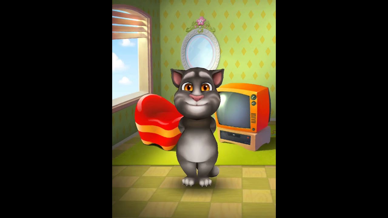 [My Talking Tom] Bunny - YouTube