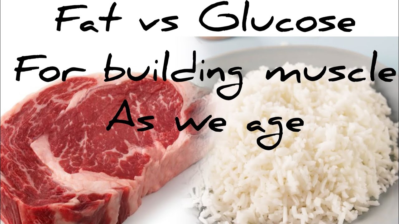 Muscle and strength on the carnivore diet - YouTube