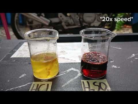 Hydrochloric Acid (HCl) VS Sulfuric Acid (H2SO4) VS FISH MEAT