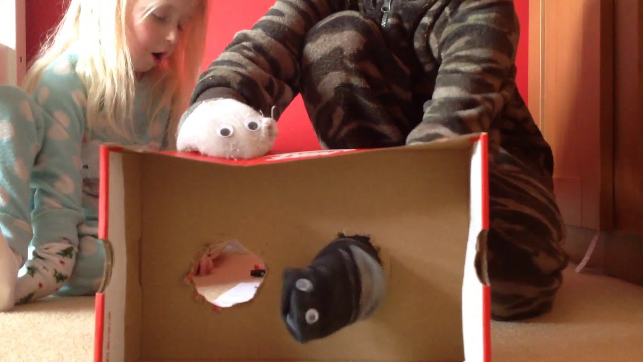 The big sock show of 2019 - YouTube